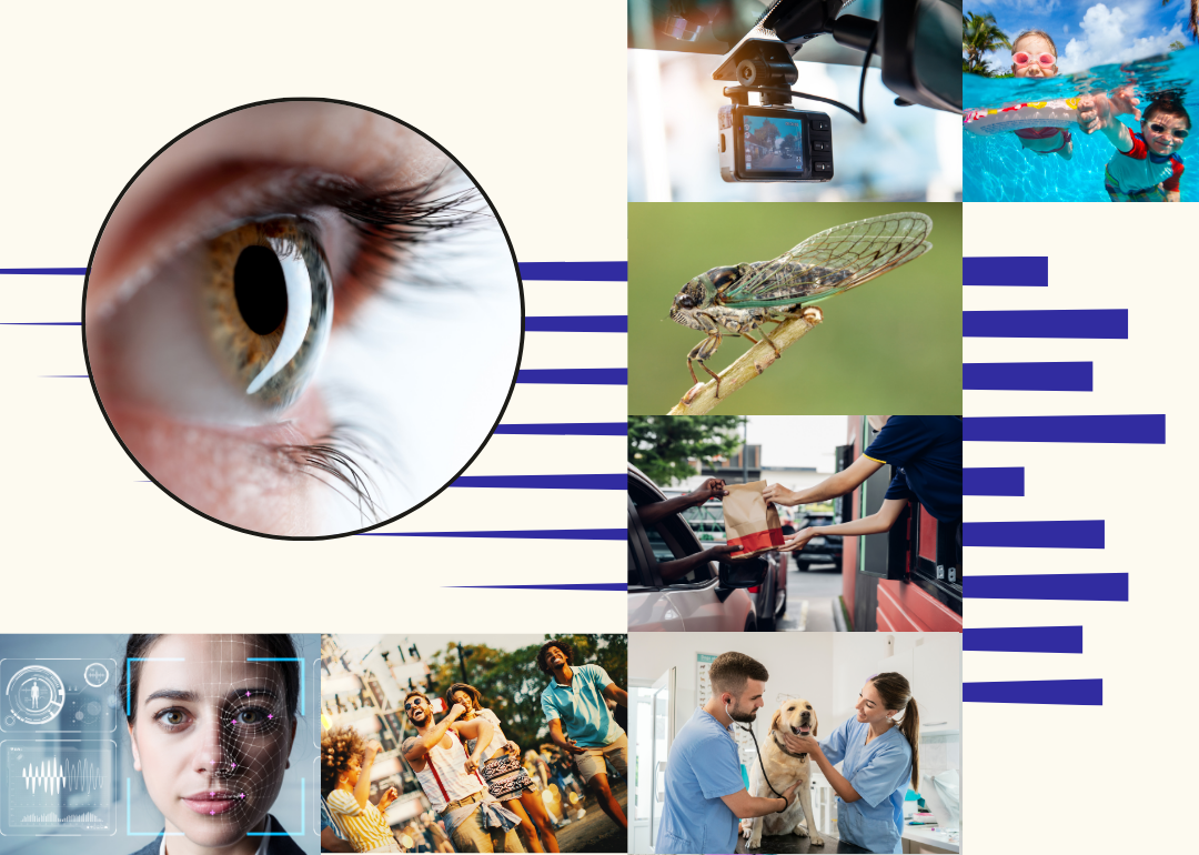 Stacker Distribute Your Content Expand Your Audience